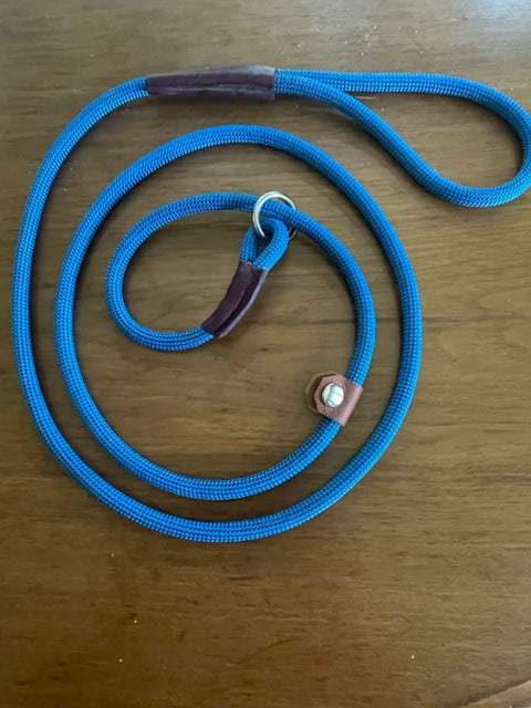 Climbing Rope Slip Lead – Dog in the Woods